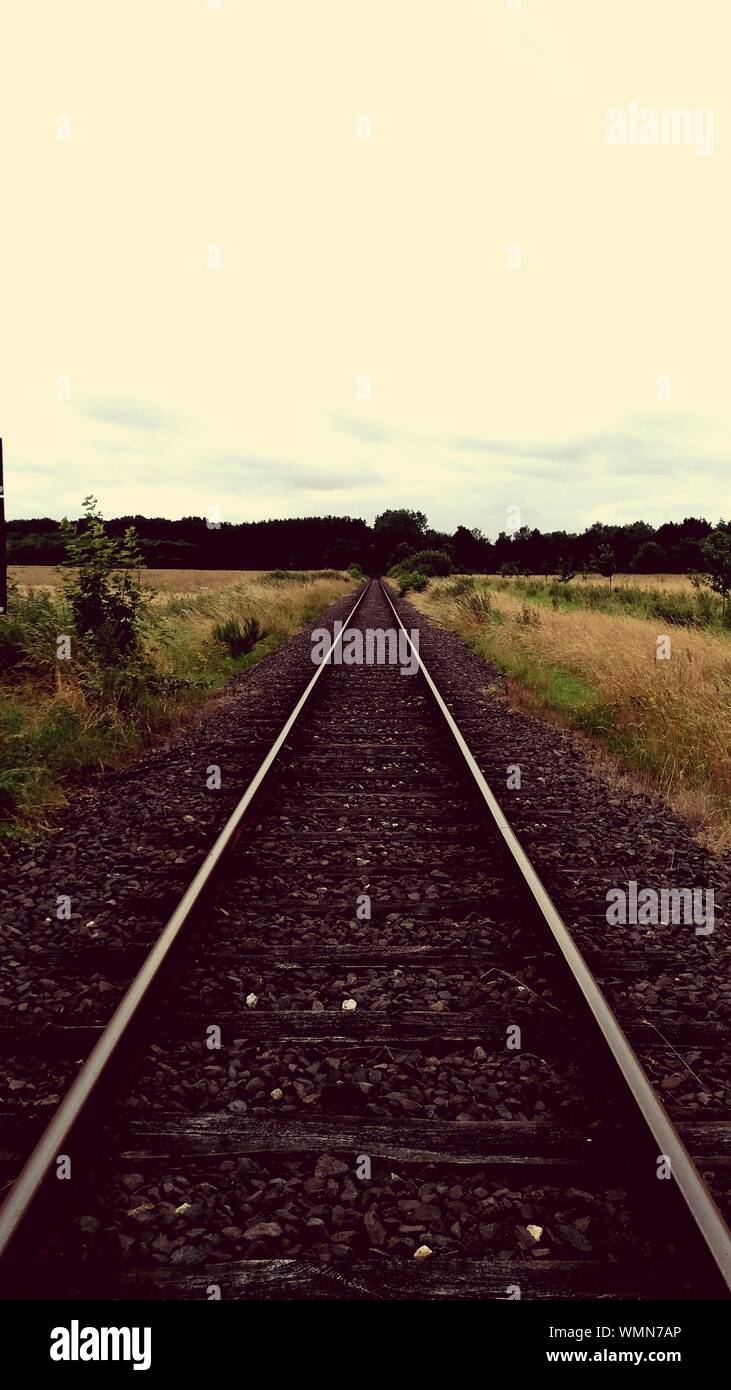 Track through field hi-res stock photography and images - Alamy
