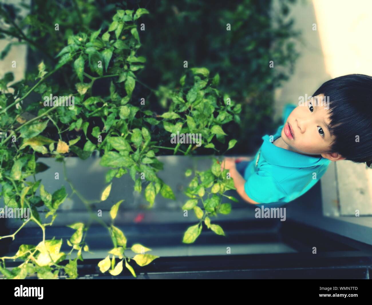 Boys looking into camera hi-res stock photography and images - Alamy