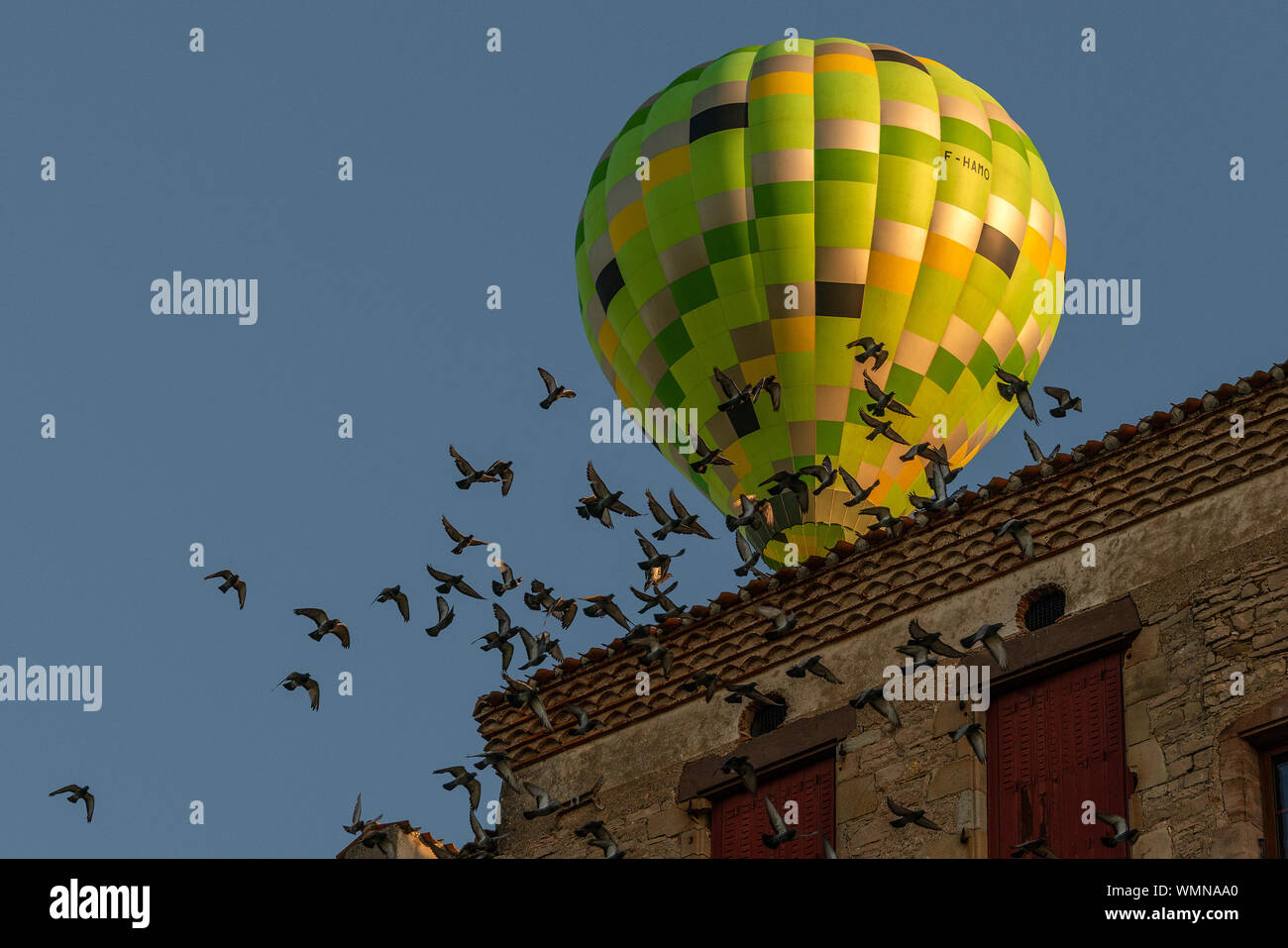 Large inflated balloon with pigeons scattering, flying close over on ...