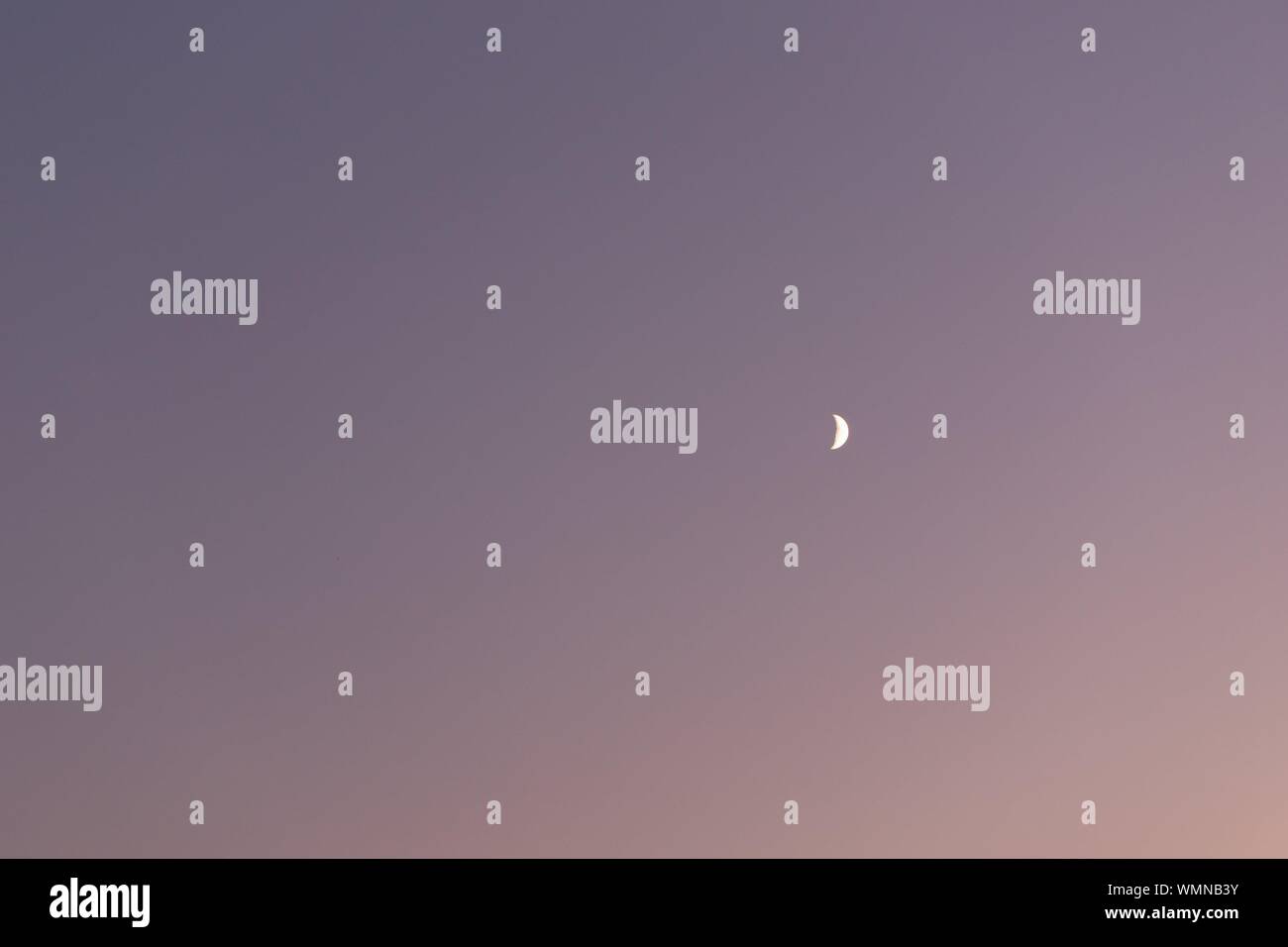 Evening gradient purple pink peach sky with crescent moon. Copy space ...