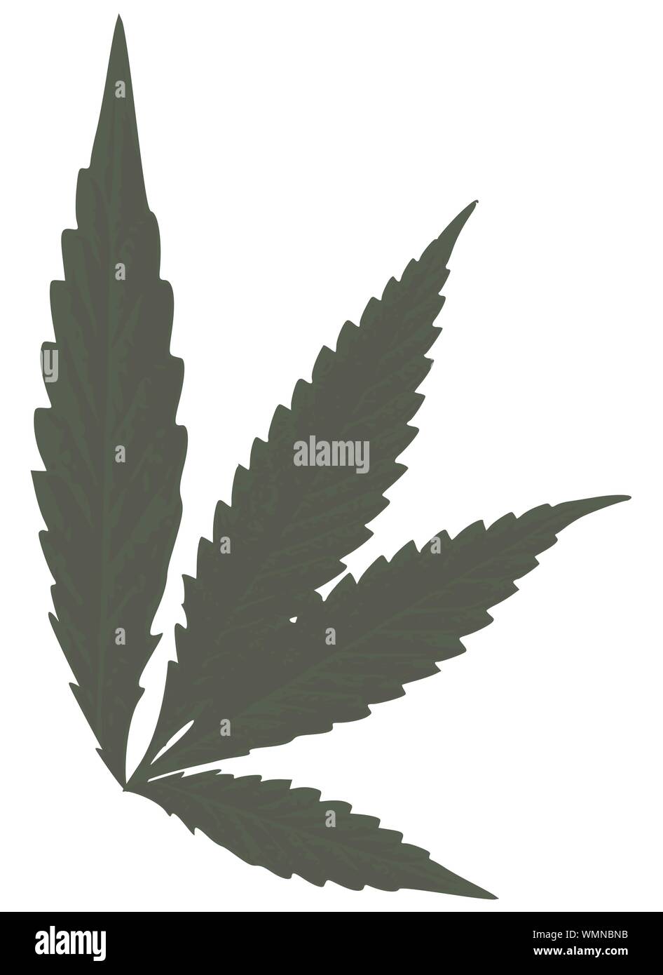 Marijuana cut out Stock Vector Images - Alamy
