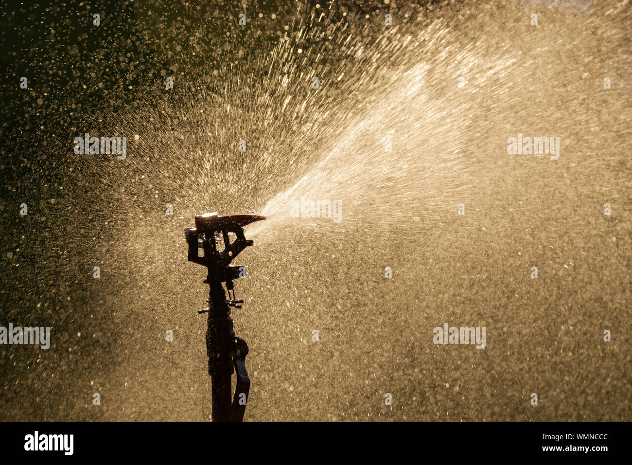Water sprinkler close up hi-res stock photography and images - Alamy