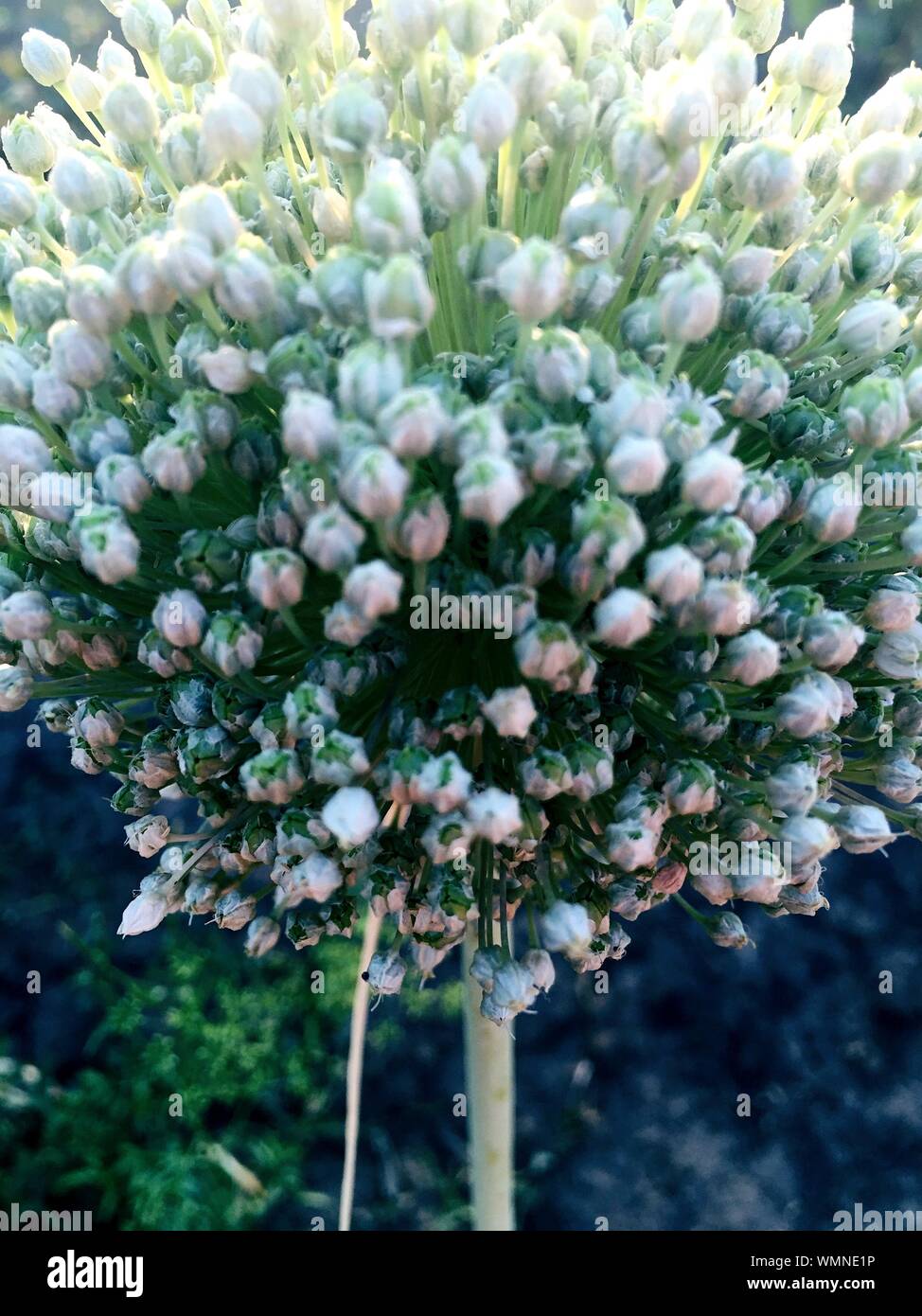 Sphere close up hi-res stock photography and images - Alamy