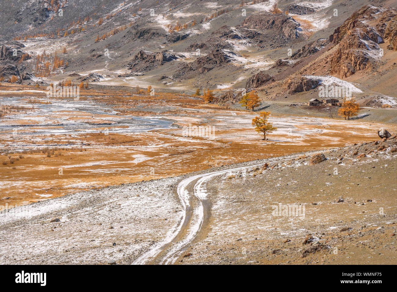 Picturesque autumn landscape with a dirt rocky road, golden larch trees ...