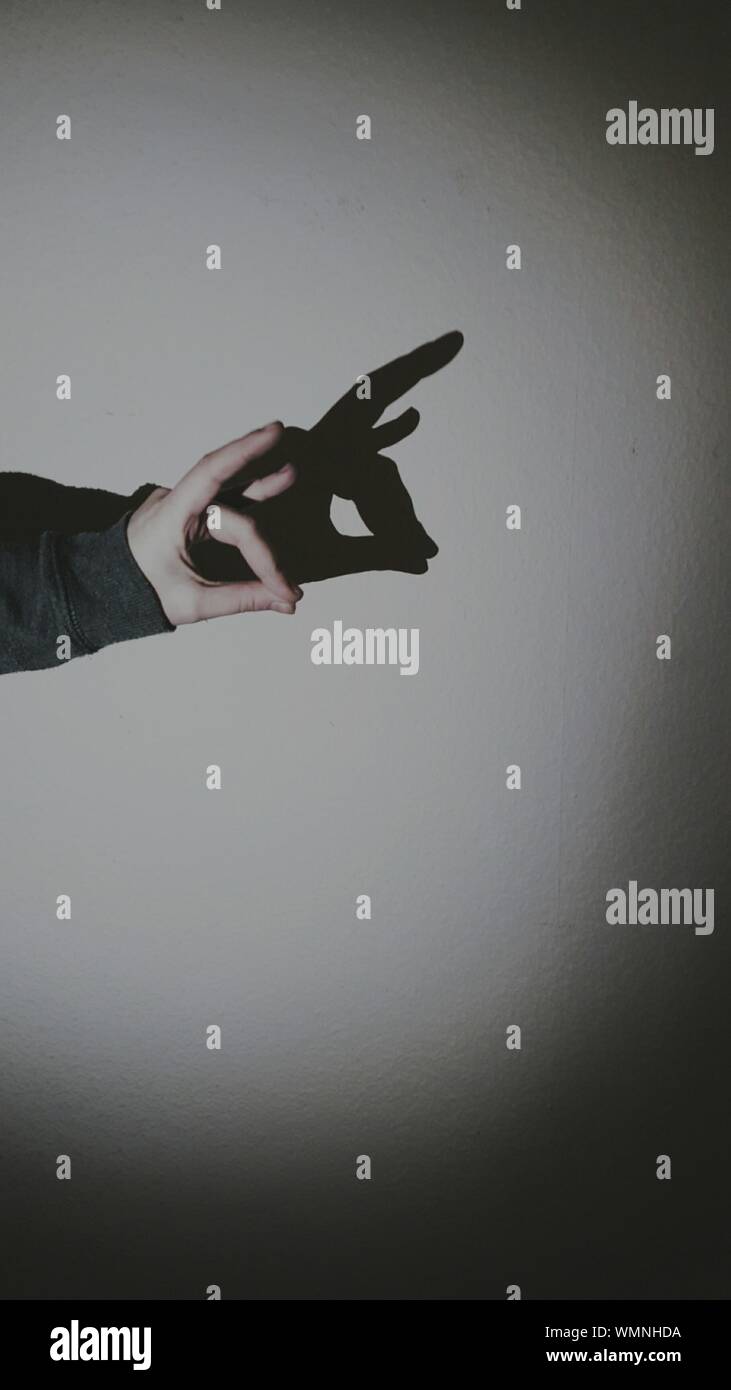Hand Shadow Puppet High Resolution Stock Photography and Images - Alamy