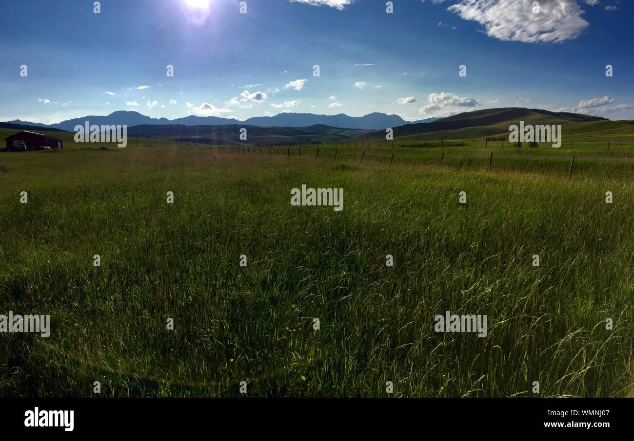 Grassy field fields hi-res stock photography and images - Alamy