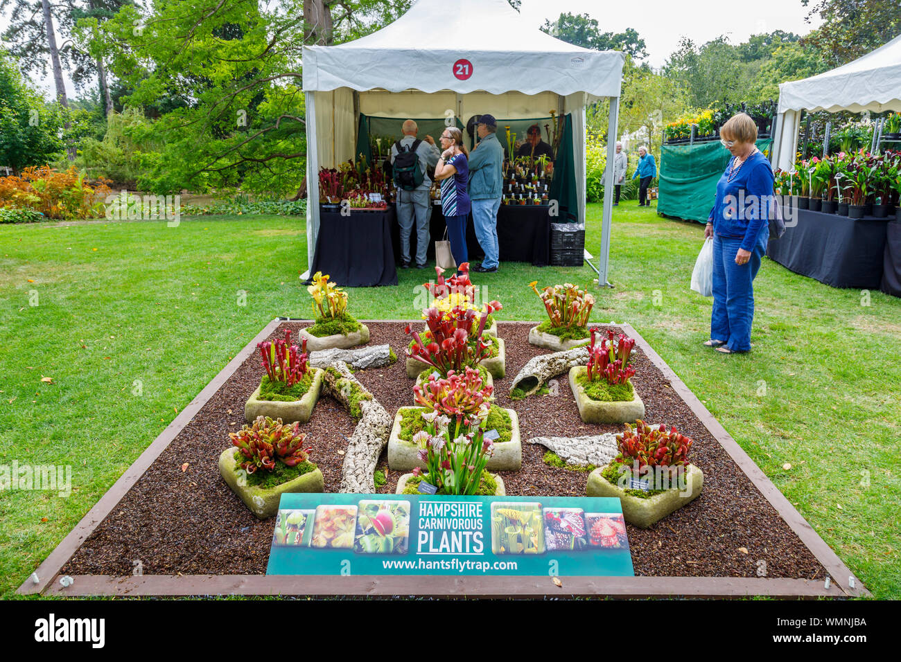 Display of carnivorous plants at the September 2019 Wisley Garden ...