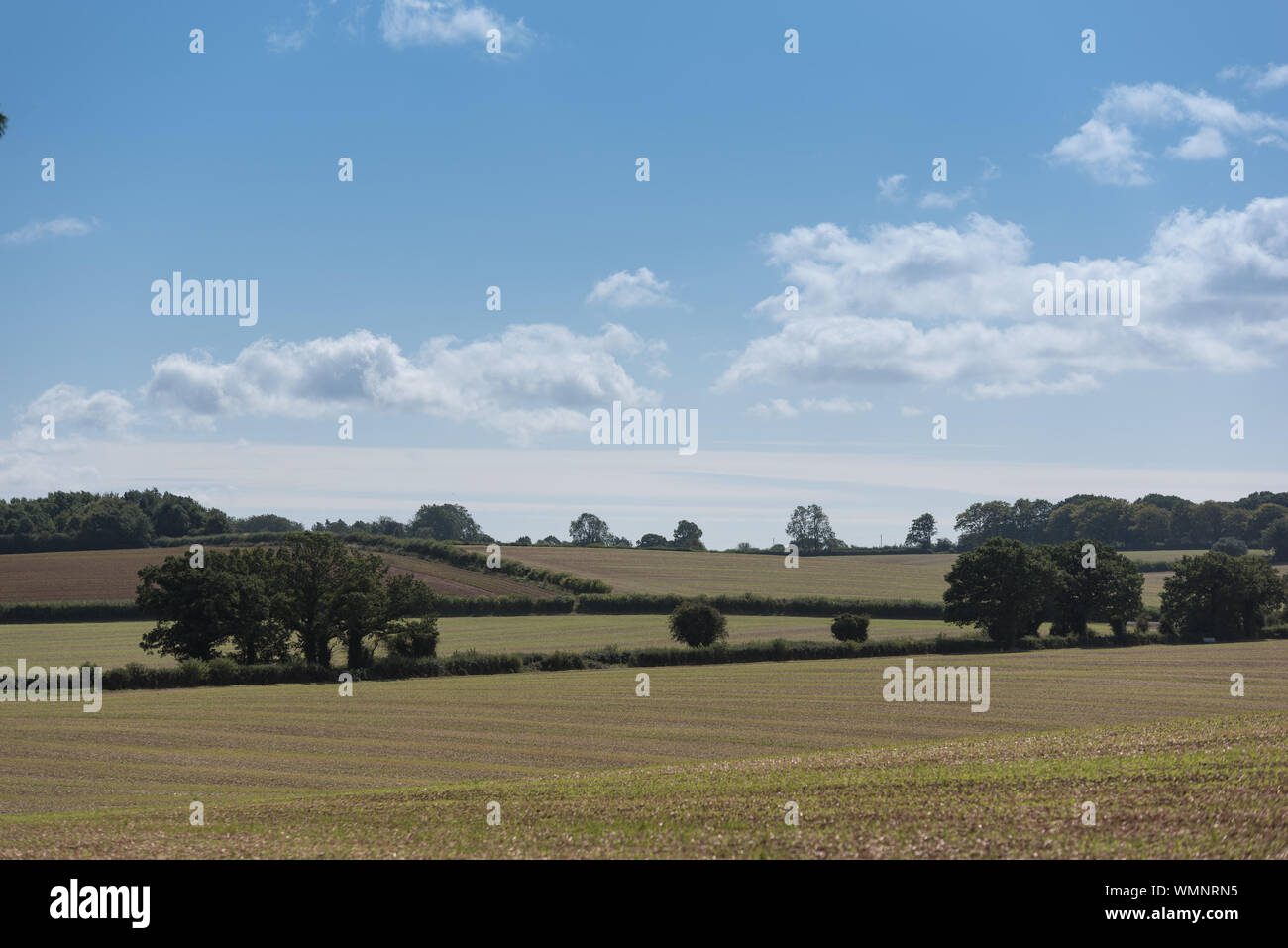 fields in countryside side beauty on a summers day with rolling hills ...