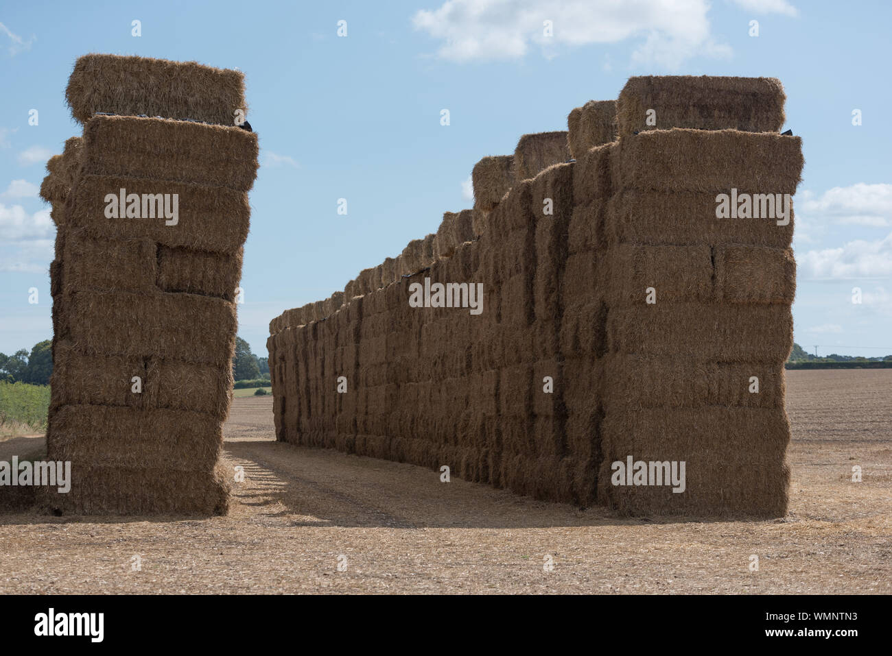 hay bales stack in field ready to store for winter feed Stock Photo - Alamy