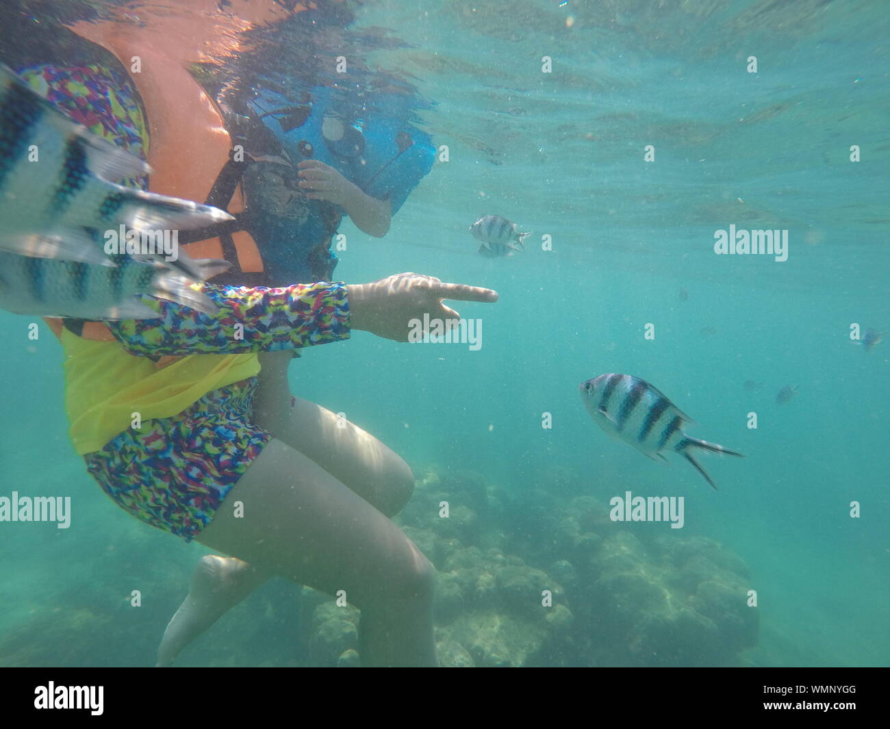 Family swimming with fish hi-res stock photography and images - Alamy