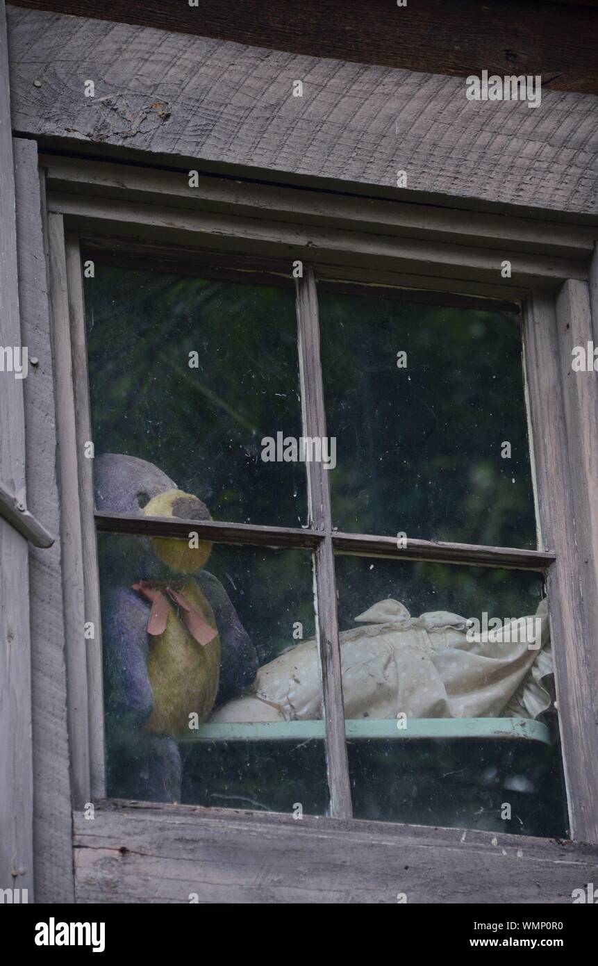 Teddy bear window hi-res stock photography and images - Alamy