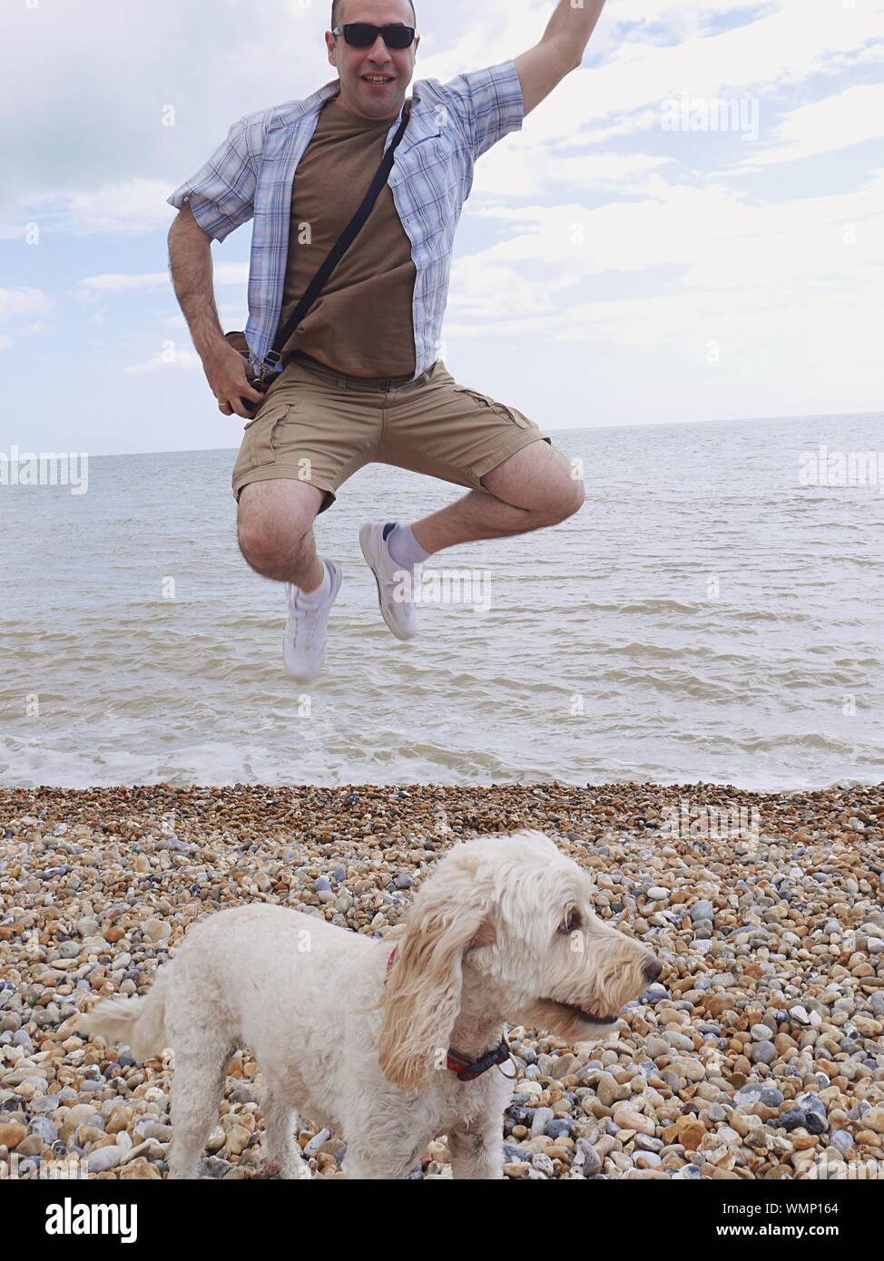 What Is The Highest A Dog Has Ever Jumped