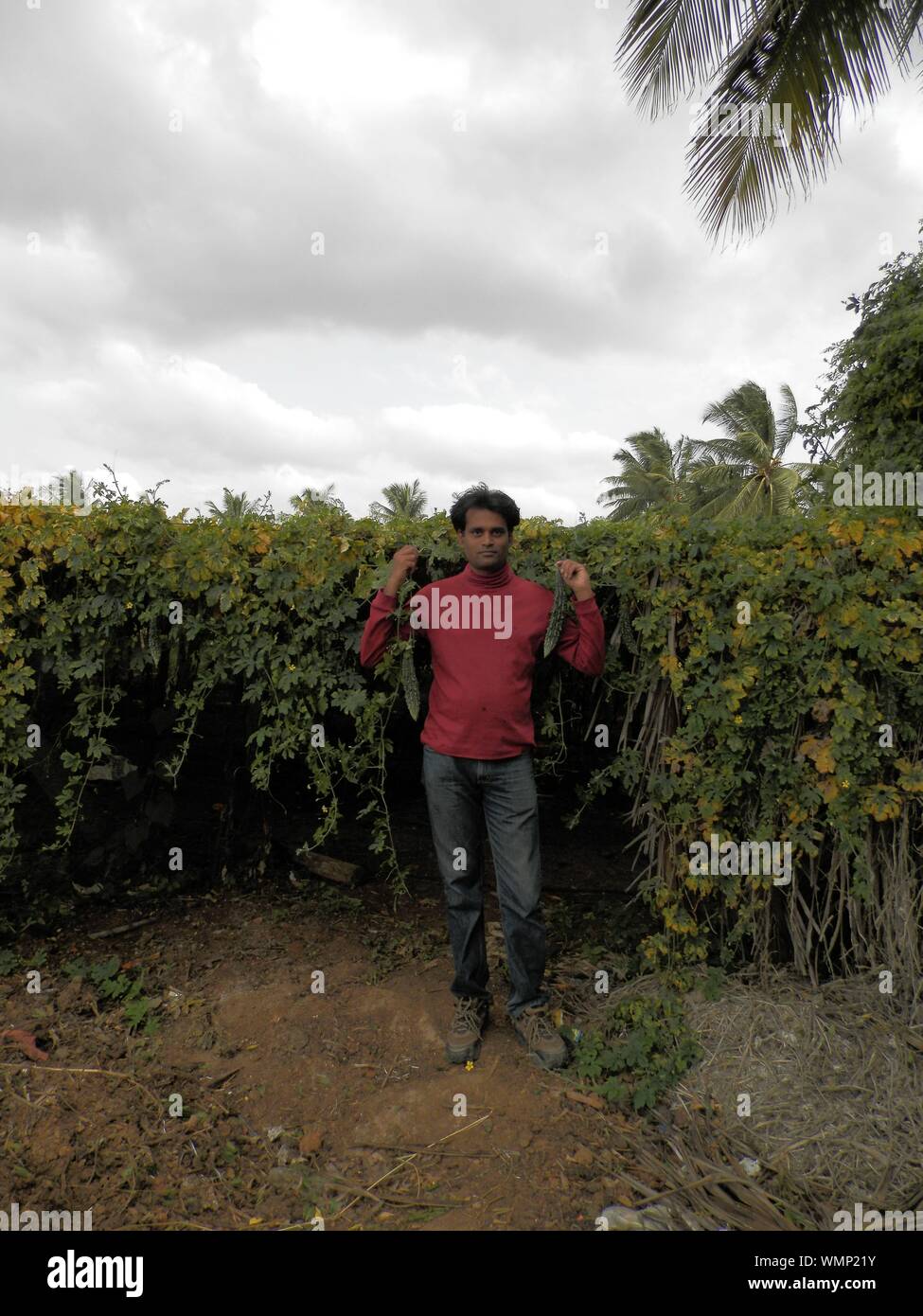 Bitter man hi-res stock photography and images - Alamy