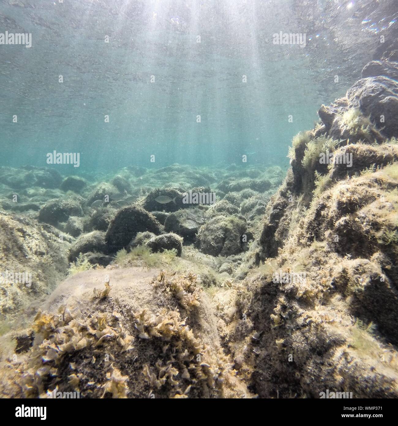 River rocks under water hi-res stock photography and images - Alamy
