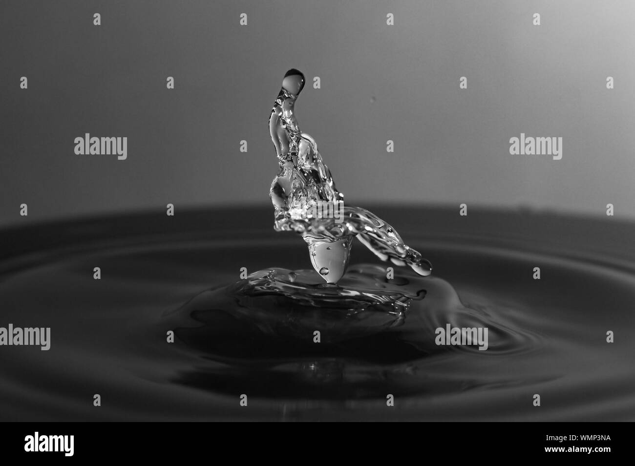Close-up Of Drop Falling In Water Stock Photo - Alamy