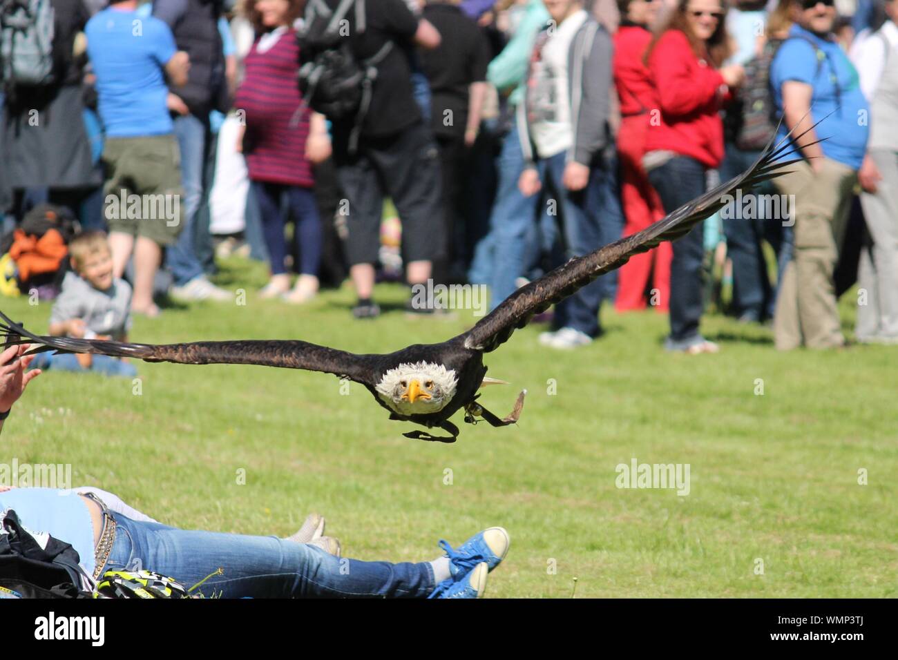 Bird people hi-res stock photography and images - Alamy