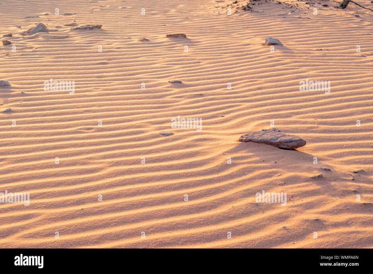 Ripples of sand and rocks in the Wadi Rum Desert Stock Photo - Alamy