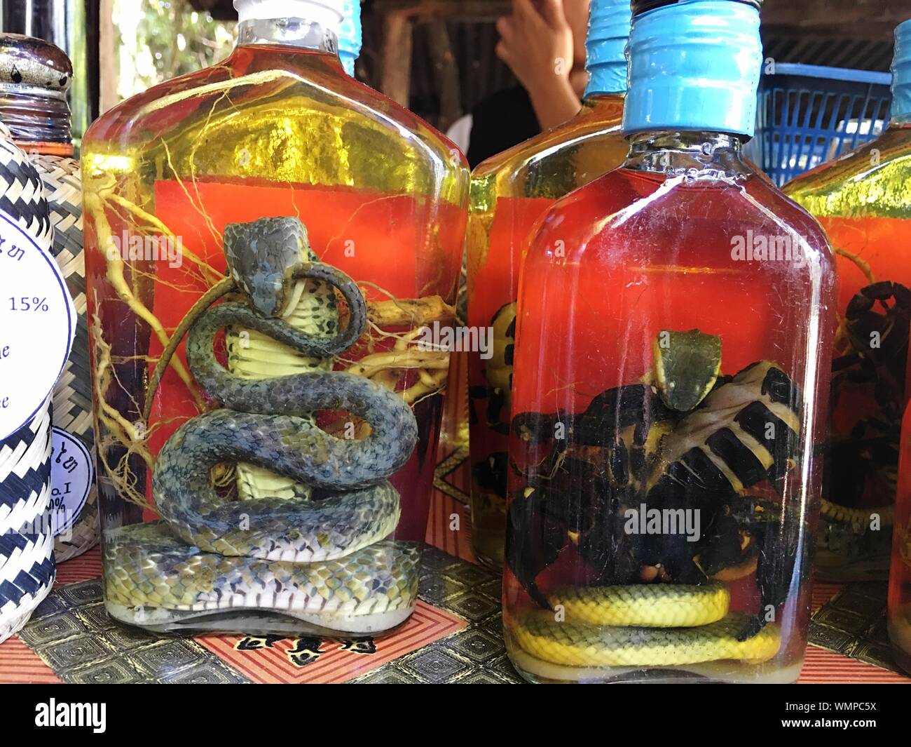 Snake Wine High Resolution Stock Photography and Images - Alamy
