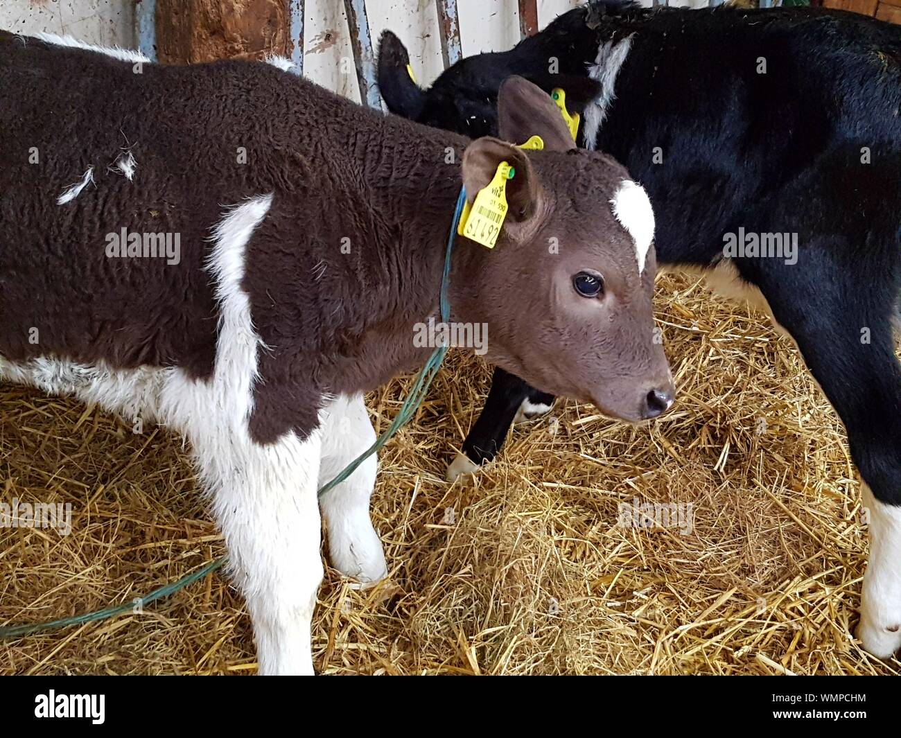 Hay shed hi-res stock photography and images - Alamy