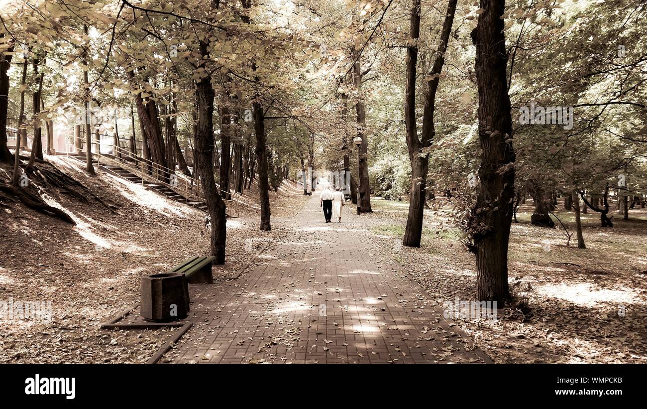 Pathway distance hi-res stock photography and images - Alamy