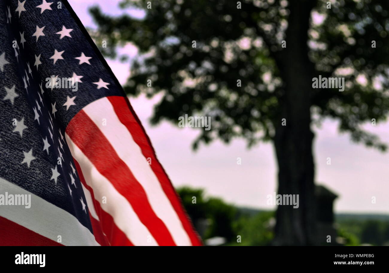 American flag tree hi-res stock photography and images - Alamy