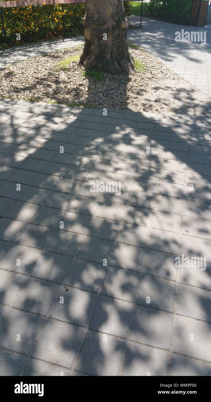 Uncultivated ground hi-res stock photography and images - Alamy