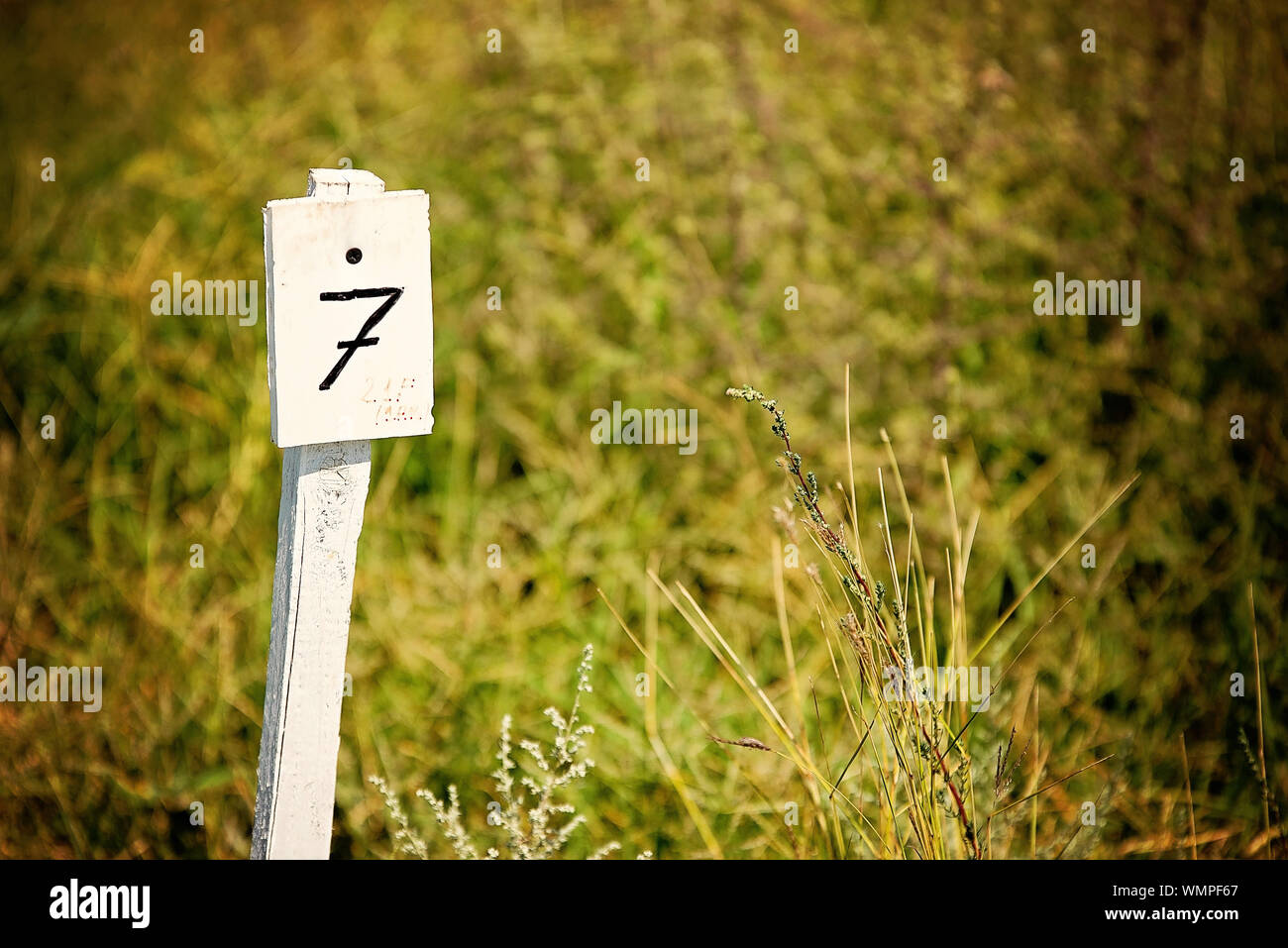 Number 7 Nature High Resolution Stock Photography and Images - Alamy