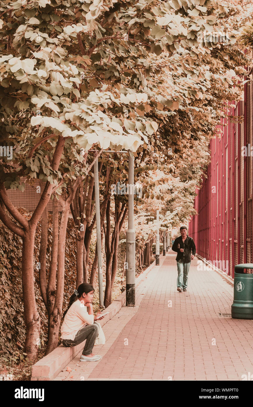 scenery and tourist attractions from Taipa Village in Macau, China ...