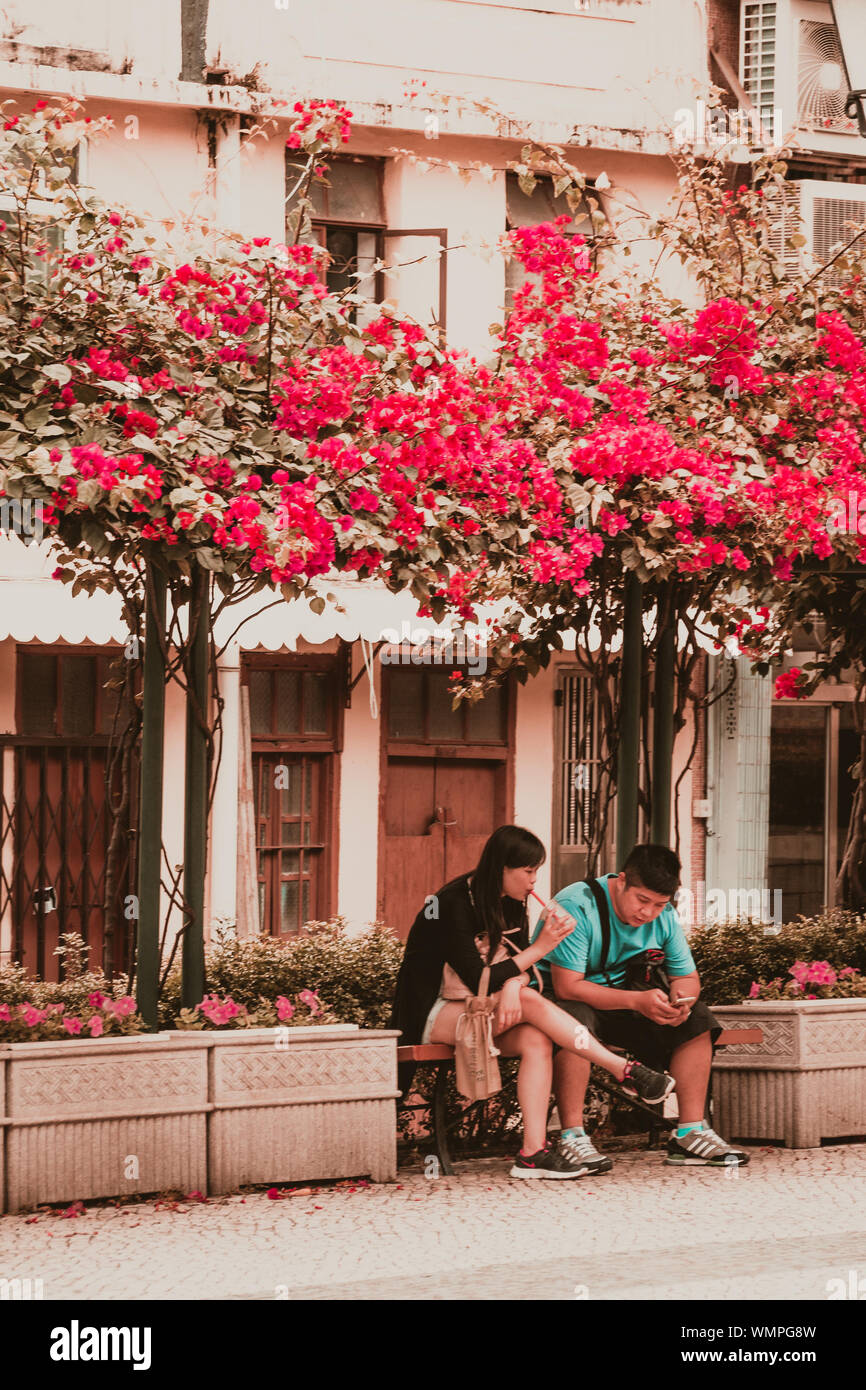 scenery and tourist attractions from Taipa Village in Macau, China ...