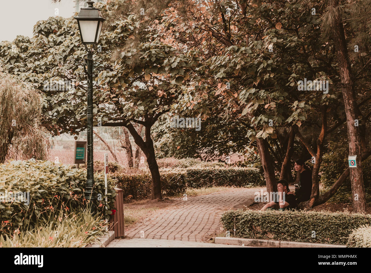 scenery and tourist attractions from Taipa Village in Macau, China ...