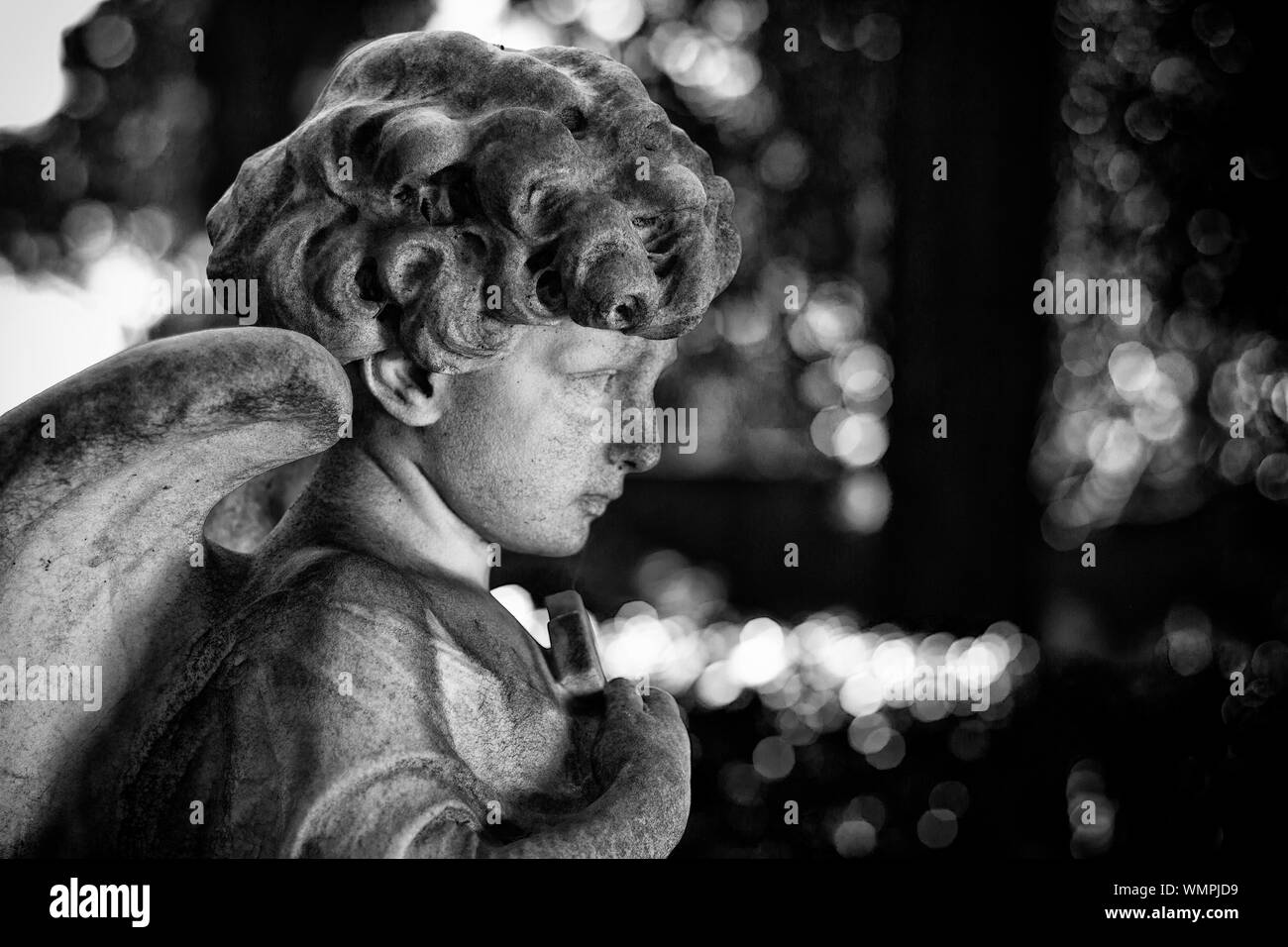 Close up of angel statue hi-res stock photography and images - Alamy