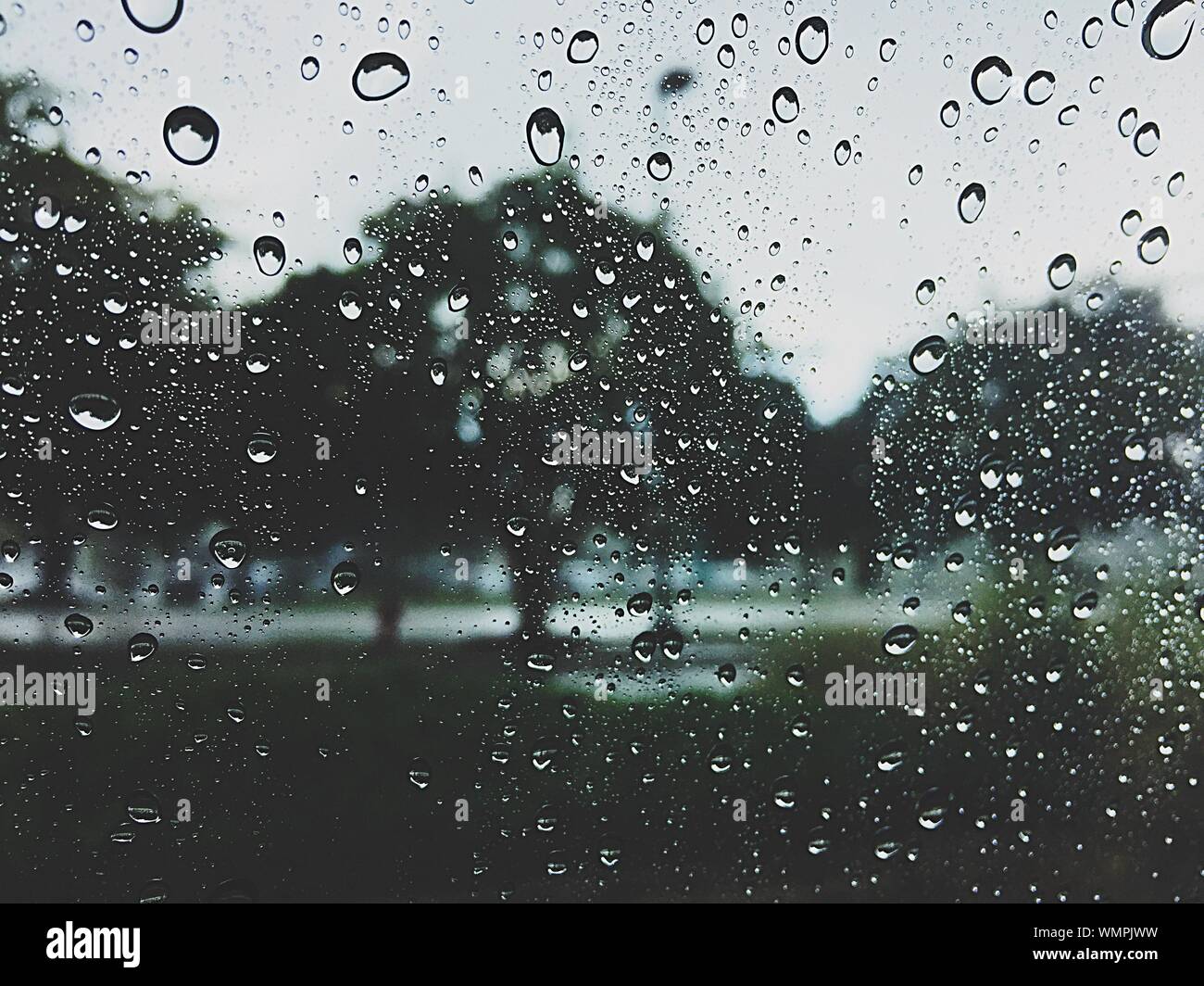 Wet with rain hi-res stock photography and images - Alamy