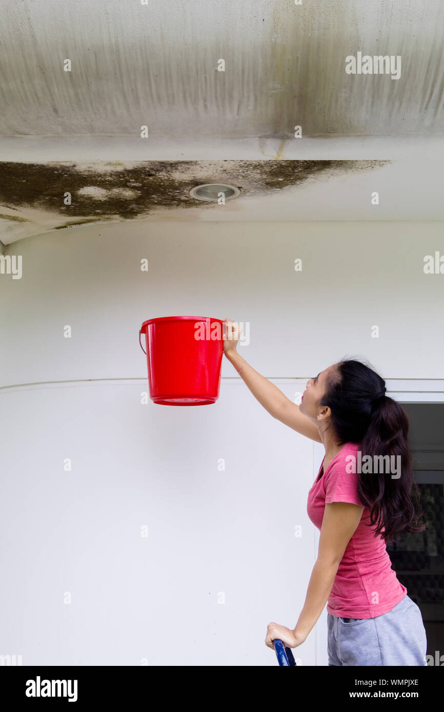Bucket under hi-res stock photography and images - Alamy