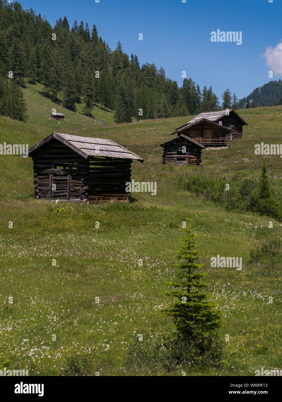 Barns on an alpine meadow at Tschey Meadows, Pfunds, Upper Inn Valley ...