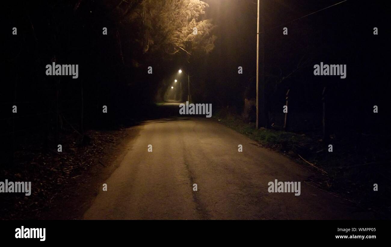 Night forest road hi-res stock photography and images - Alamy