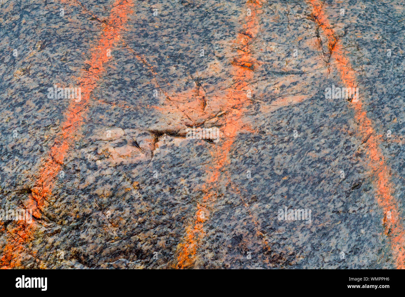 the texture of the stone, sea stone background Stock Photo - Alamy