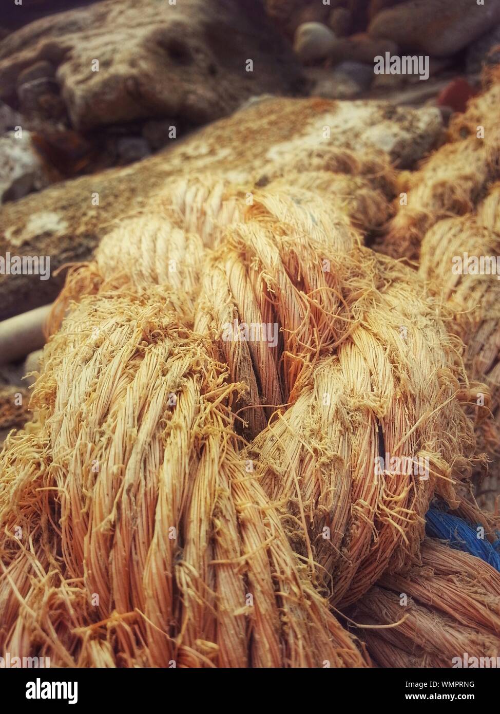 Tangled ropes hi-res stock photography and images - Alamy