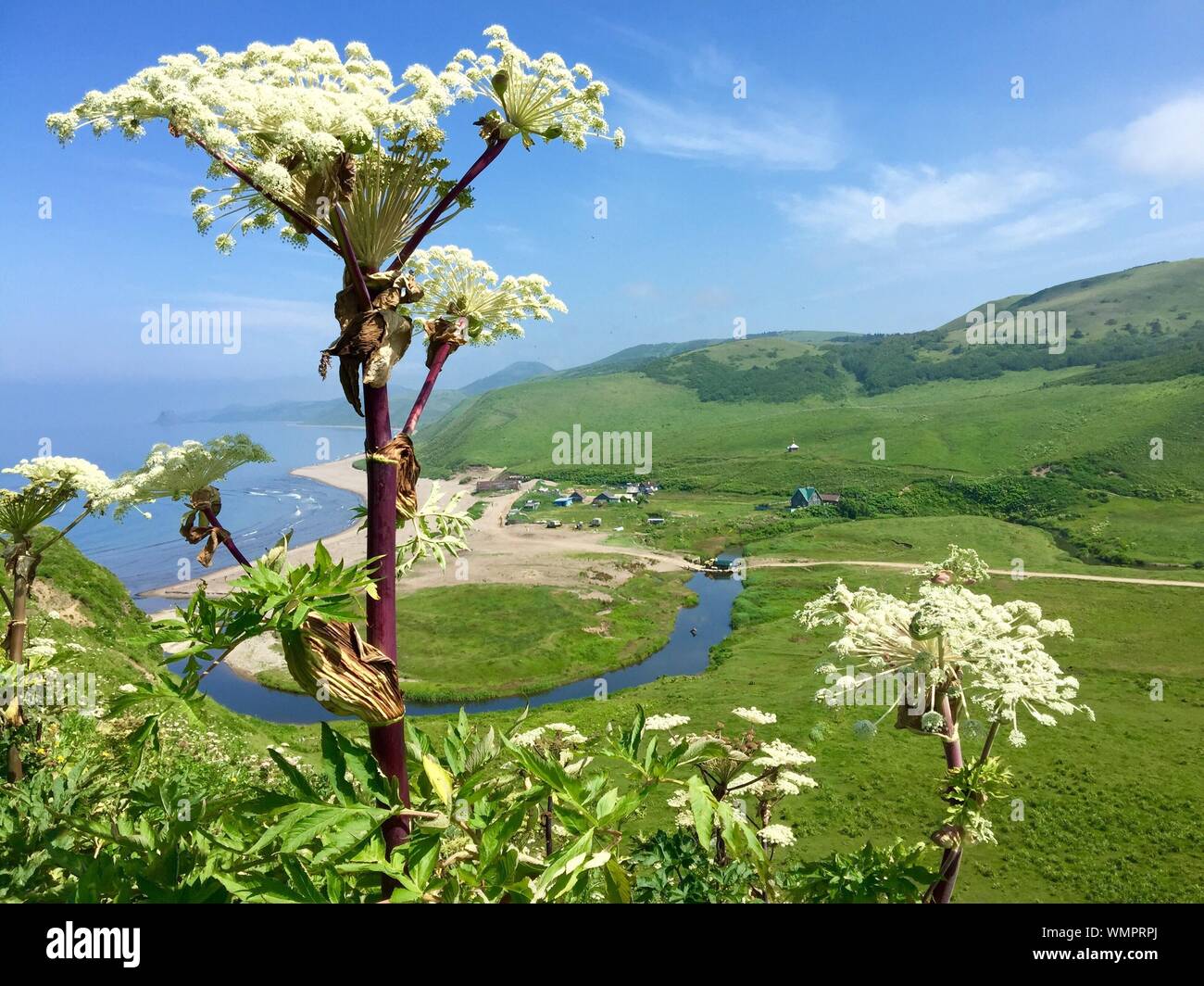 Sakhalin River Landscape High Resolution Stock Photography and Images ...