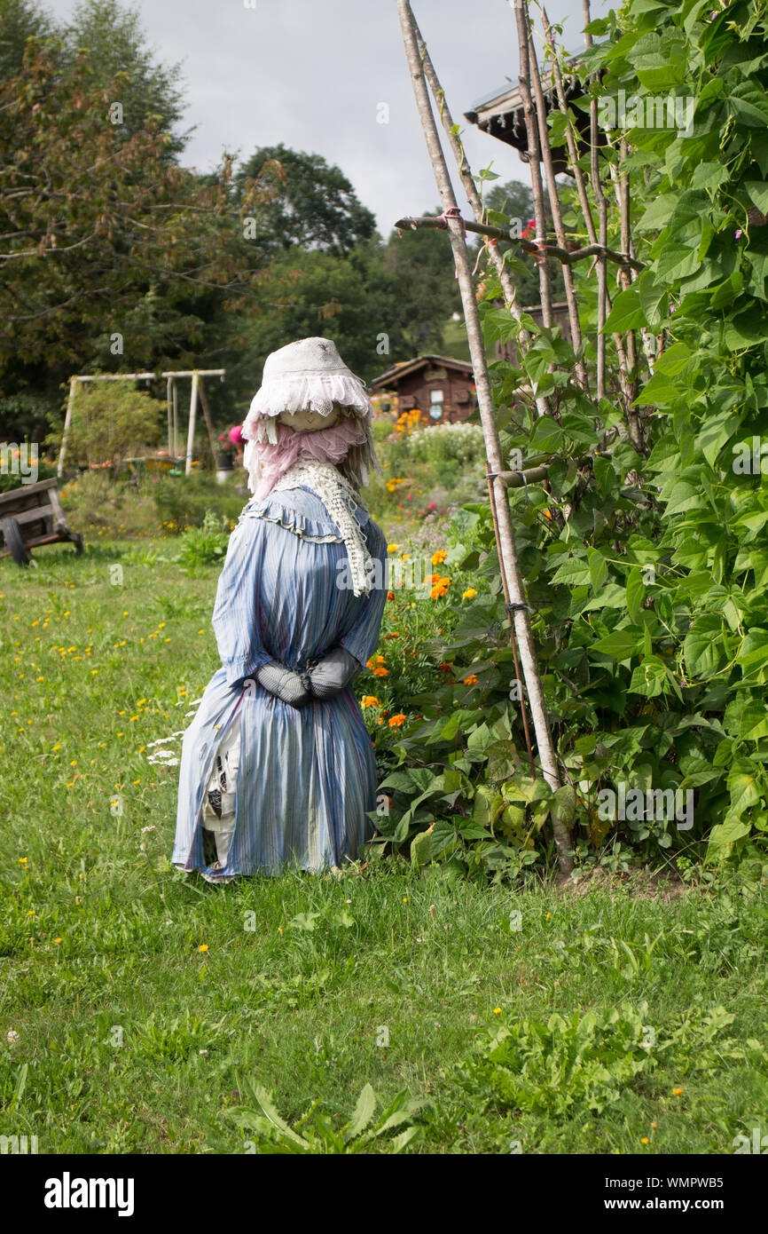 Rag trees hi-res stock photography and images - Alamy