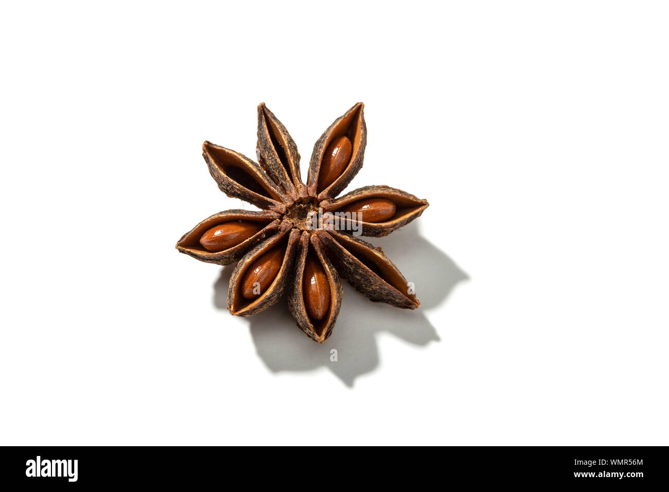 Star anise isolated on white background. Illicium verum Stock Photo - Alamy