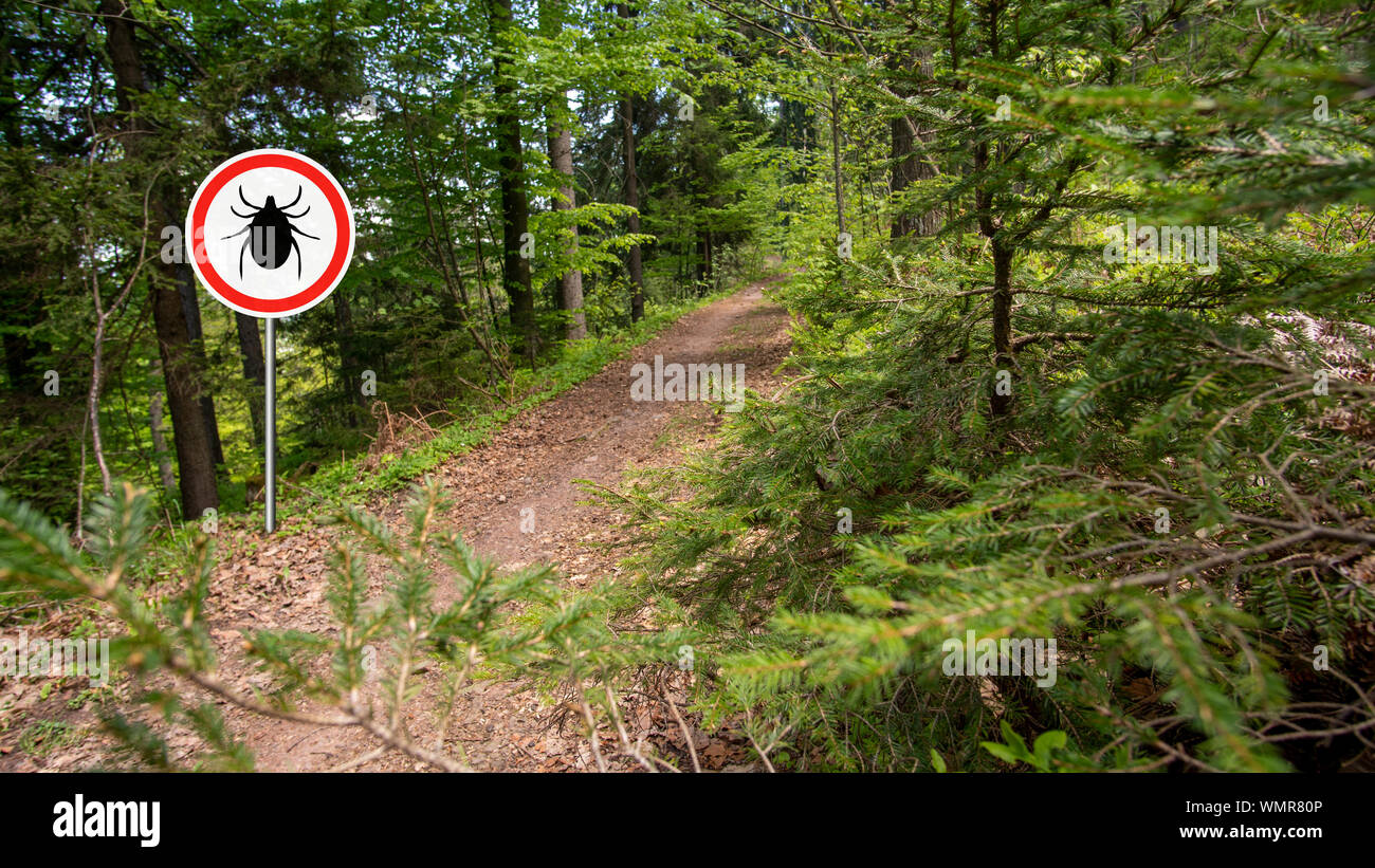 Tick insect warning sign in infected forest. Lyme disease and ...
