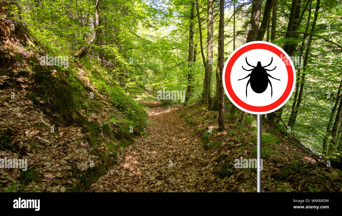 Tick insect warning sign in infected forest. Lyme disease and ...
