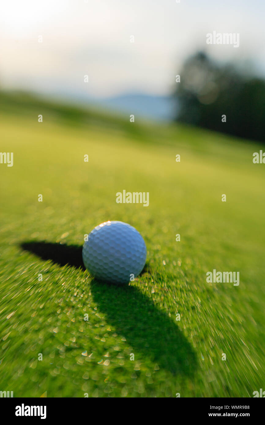 Golf ball on the green just about to drop into the hole Stock Photo - Alamy