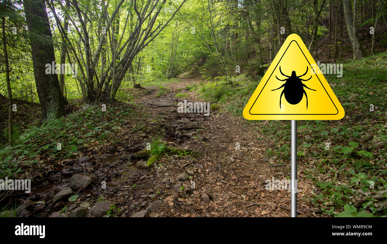 Tick insect warning sign in infected forest. Lyme disease and ...