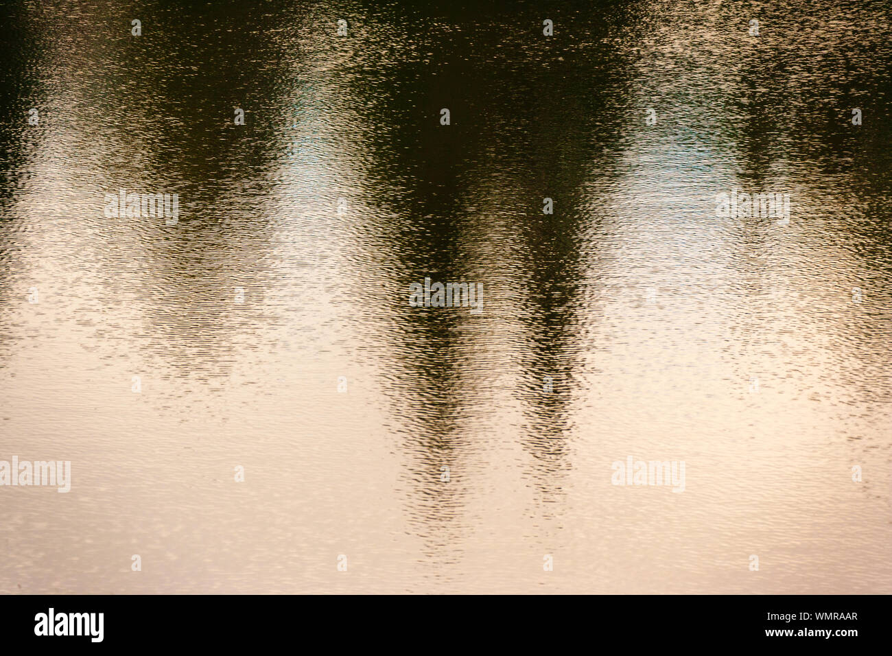 Evergreen trees in vermont hi-res stock photography and images - Alamy