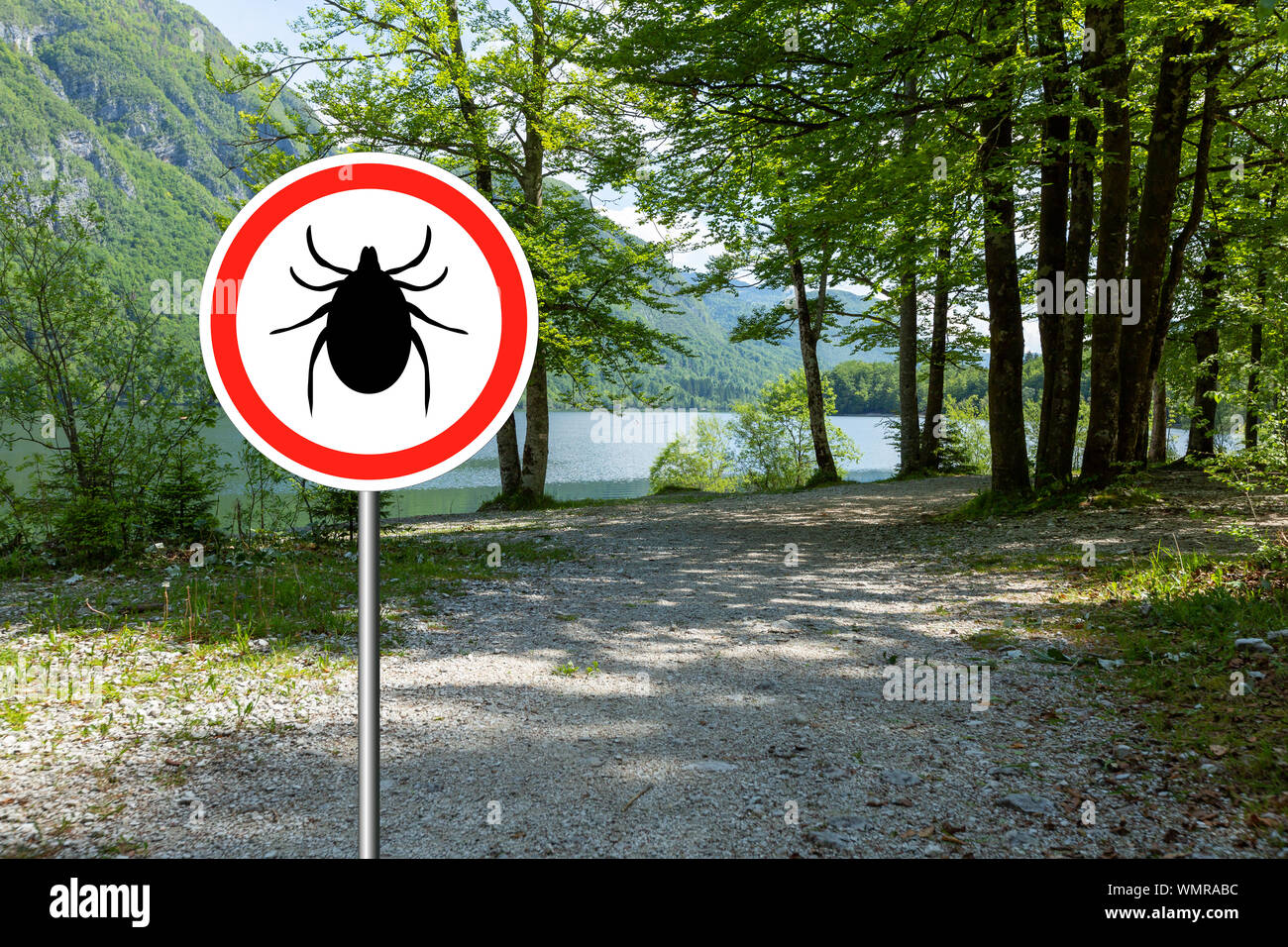 Tick insect warning sign in infected forest. Lyme disease and ...