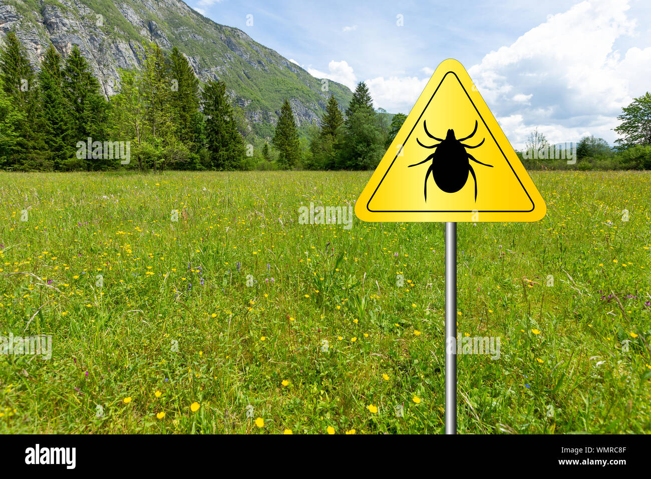 Tick insect warning sign on infected meadow. Lyme disease and ...