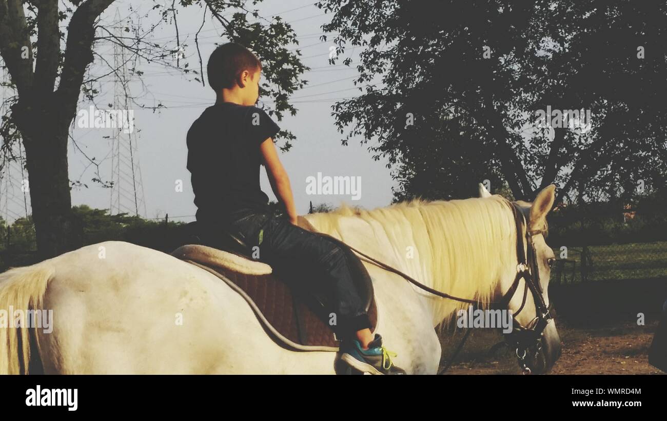 Boy child horse riding hi-res stock photography and images - Alamy