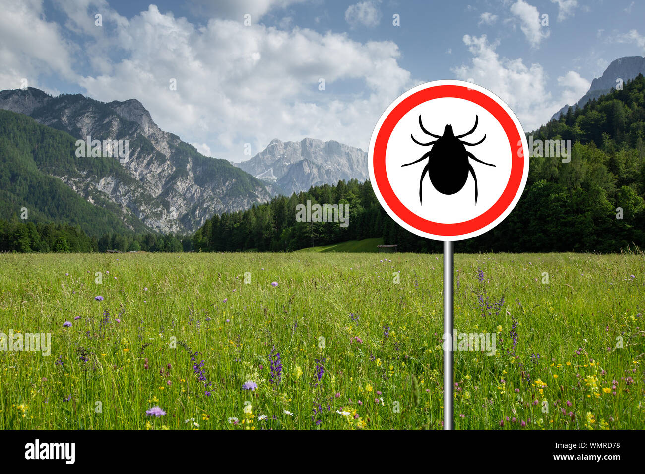 Tick insect warning sign on infected meadow. Lyme disease and ...