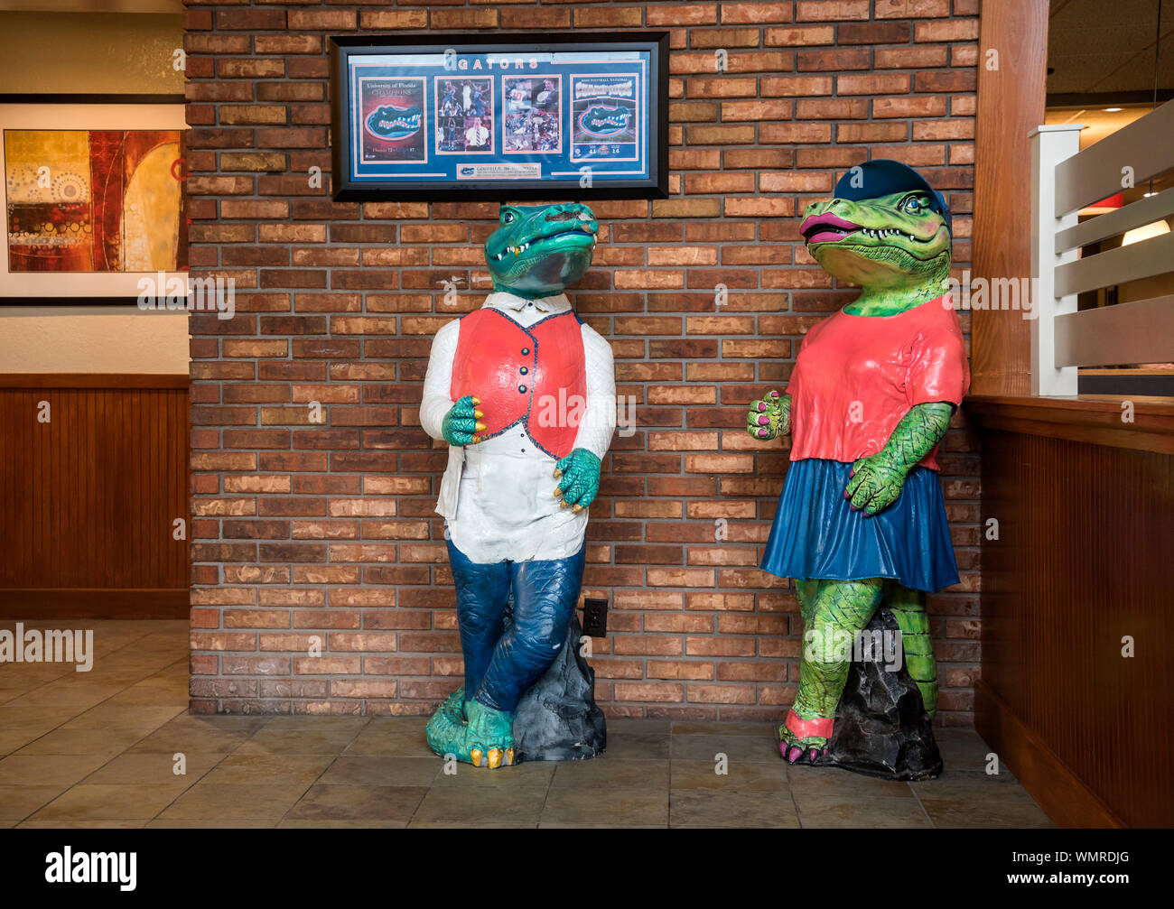 Gator mascots hi-res stock photography and images - Alamy